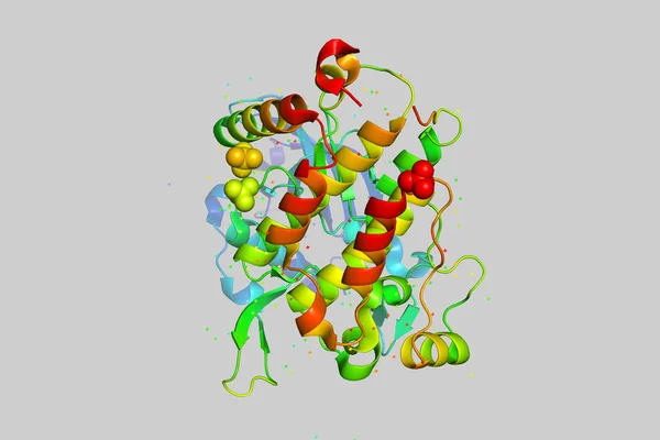 Protein Atom