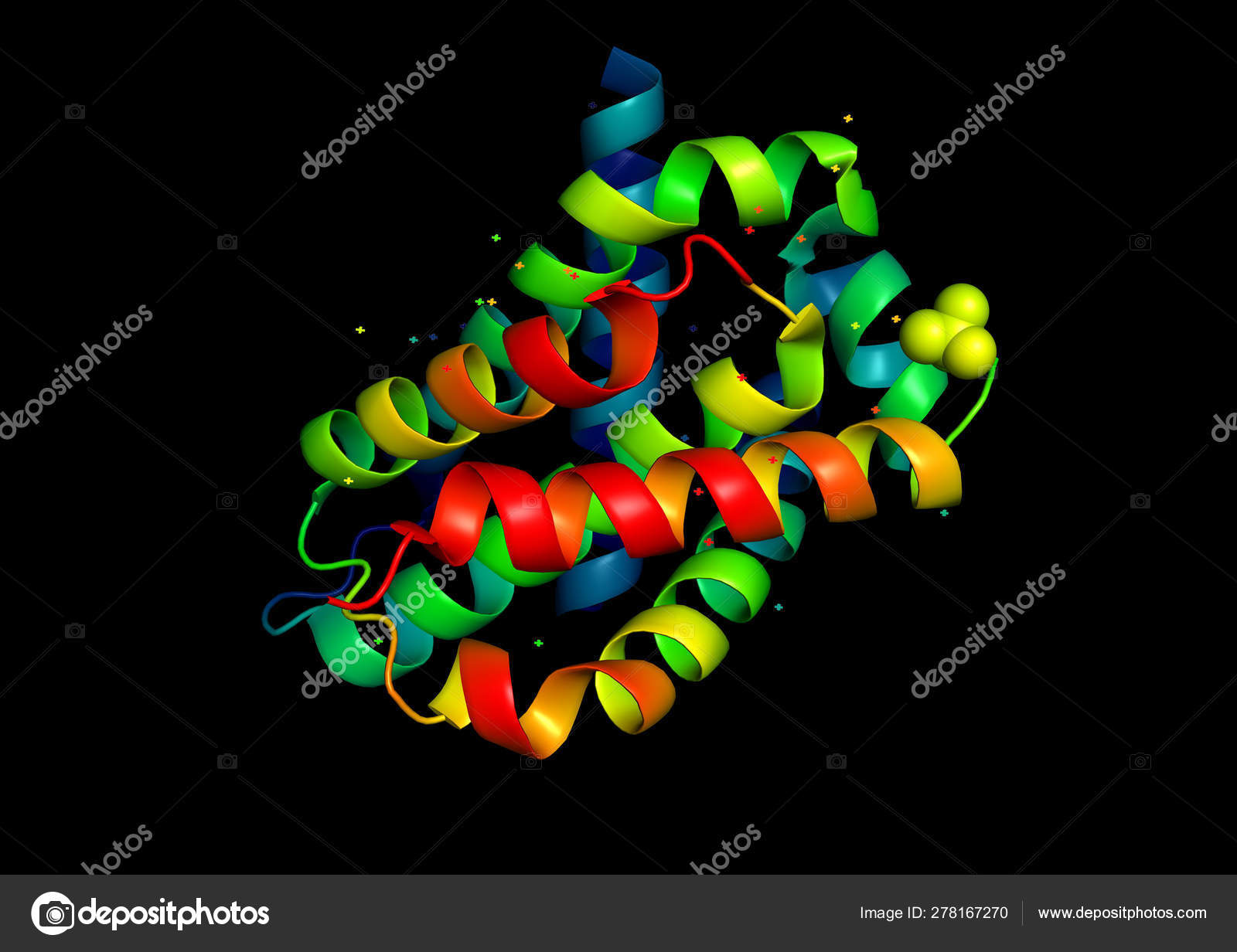 Protein Molecule 3d