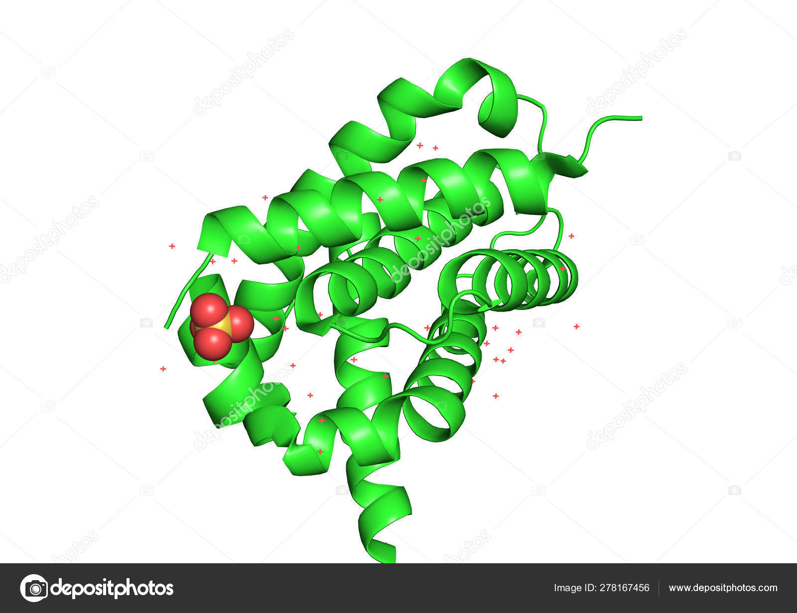 3d Protein Structure Modeling