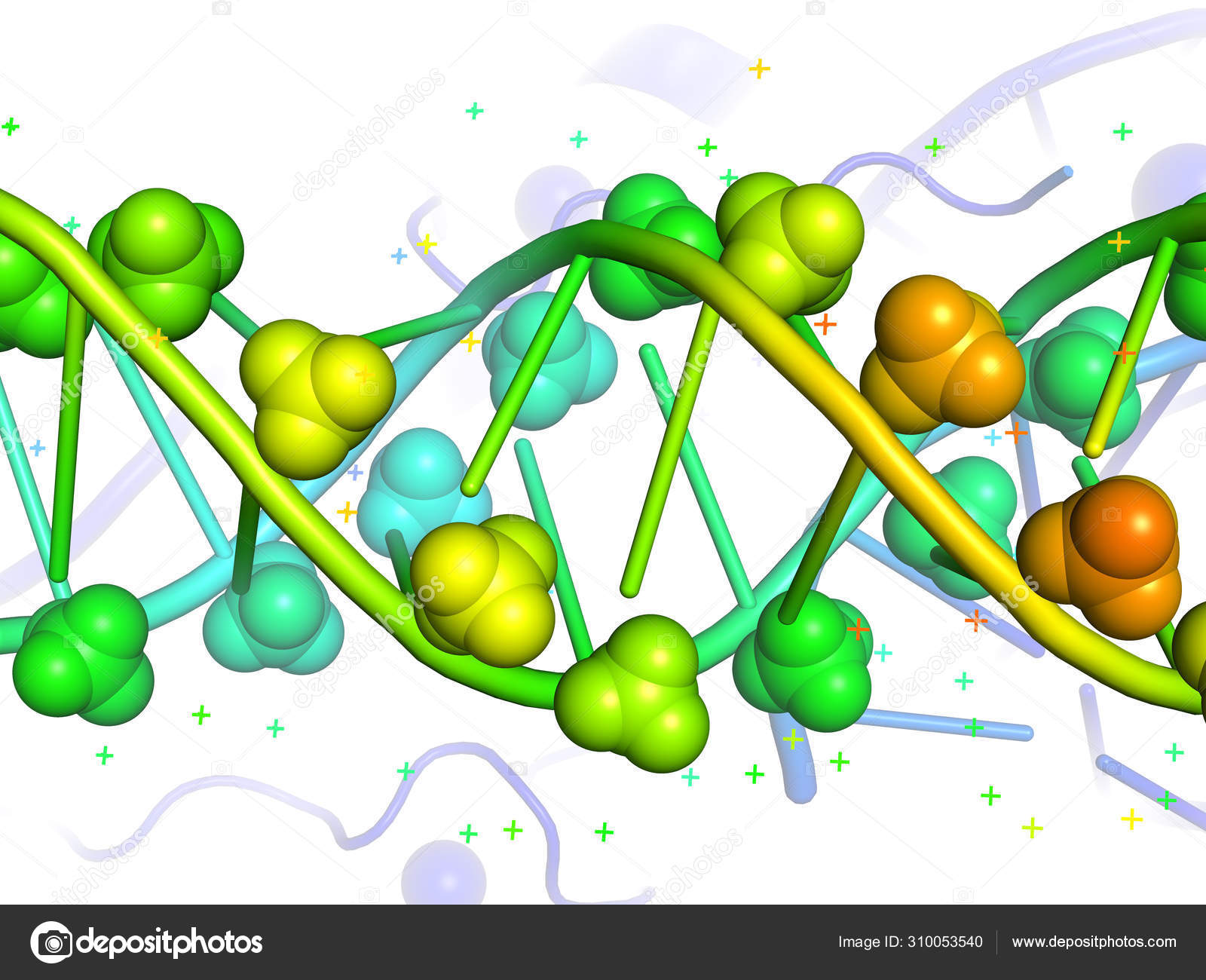 Modelo 3D de ADN . — Foto de stock #310053540 © sergunt
