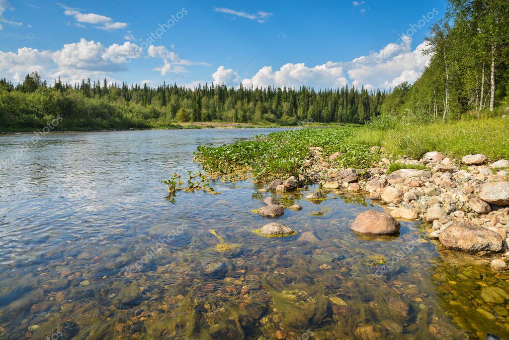 Río Taiga Shchugor en el Parque Nacional Yugyd VA. Patrimonio de la ...