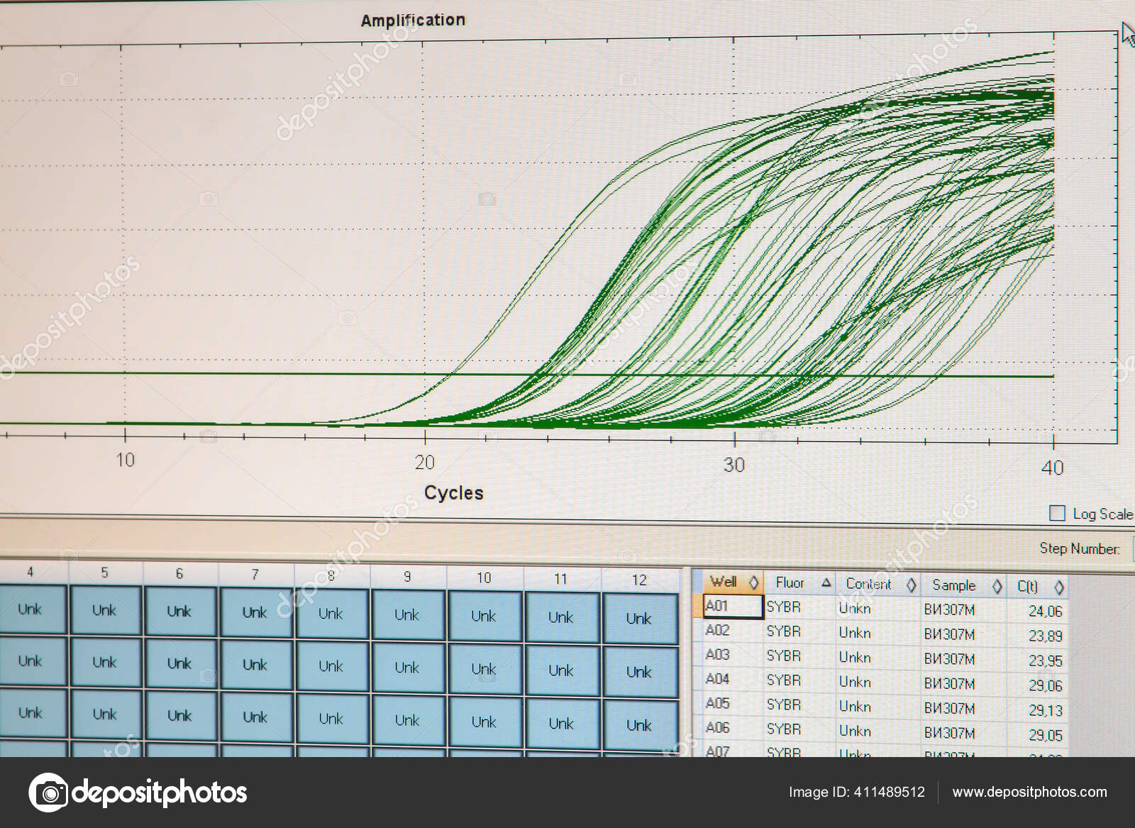 Amplification Curves Real Time Pcr Reactions Monitoring Progress ...