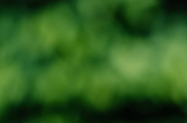 283,120 Dark green texture Stock Photos, Images | Download Dark green ...