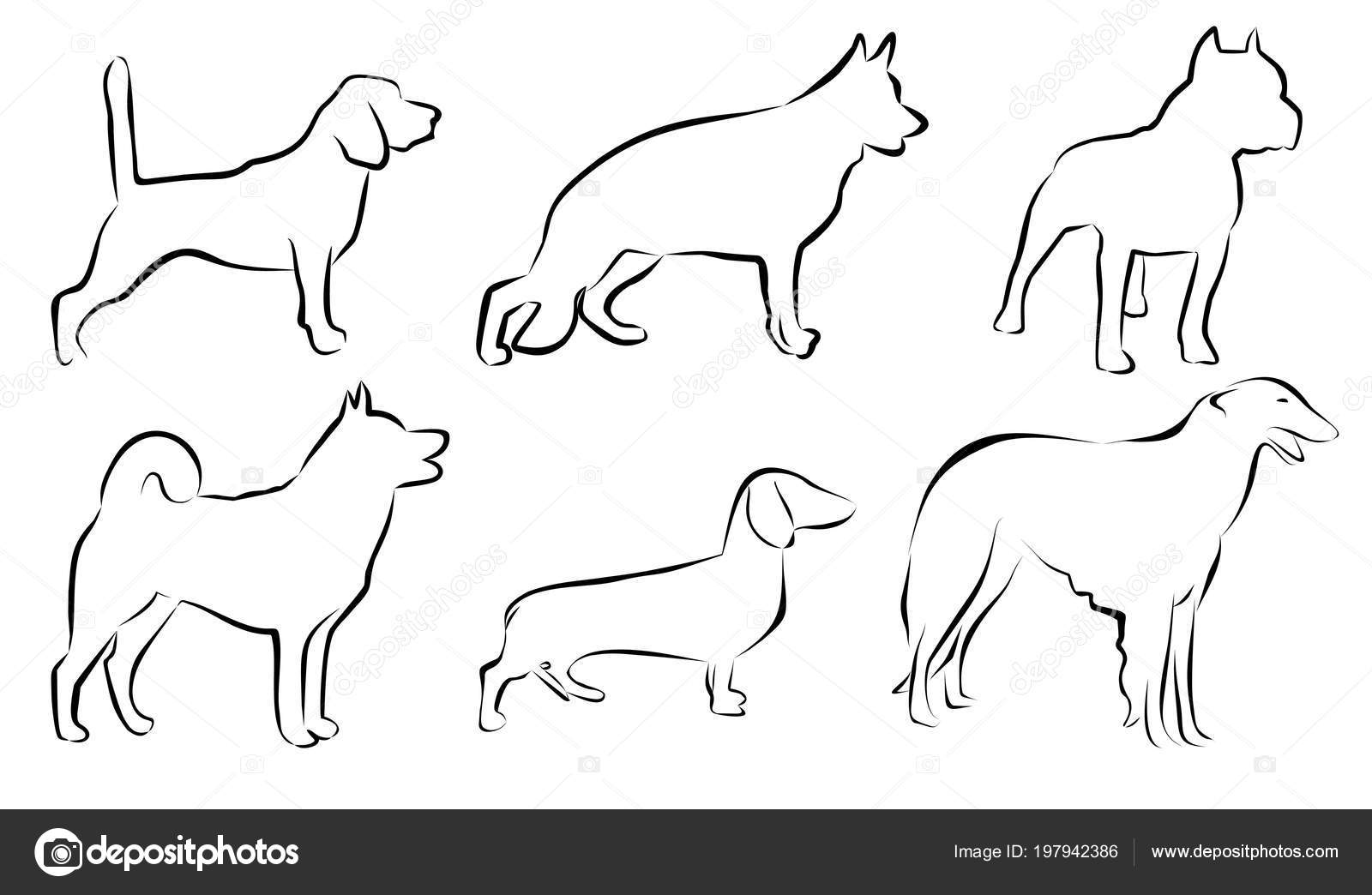 Set Lines Dogs Vector Illustration Isolation White Background Stock ...