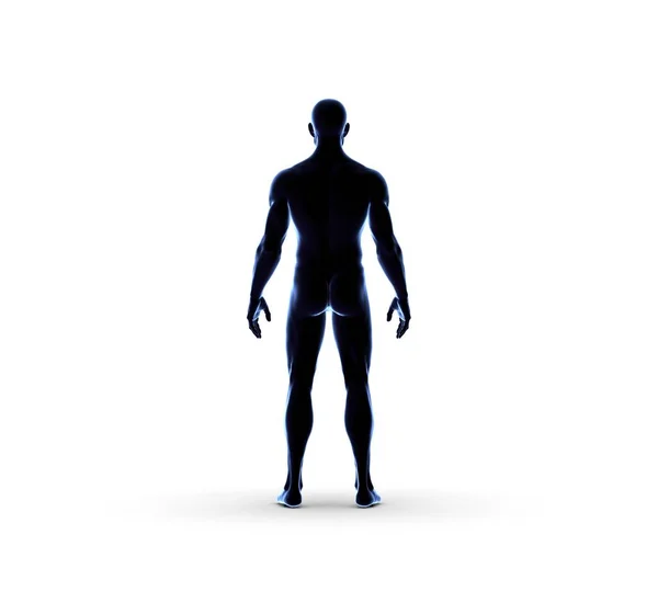 Human energy body silhouette aura stockfotos human energy Stock Photos ...
