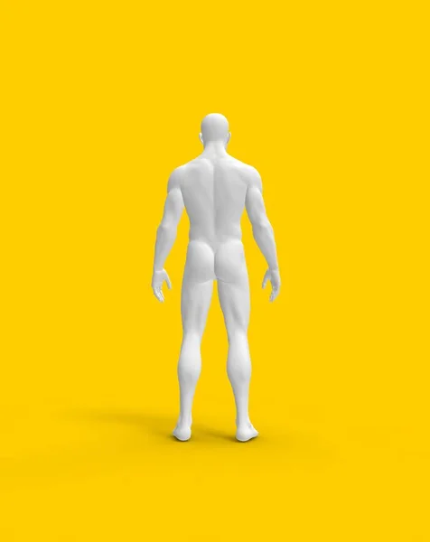 Infographics man body Stock Photos, Royalty Free Infographics man body ...