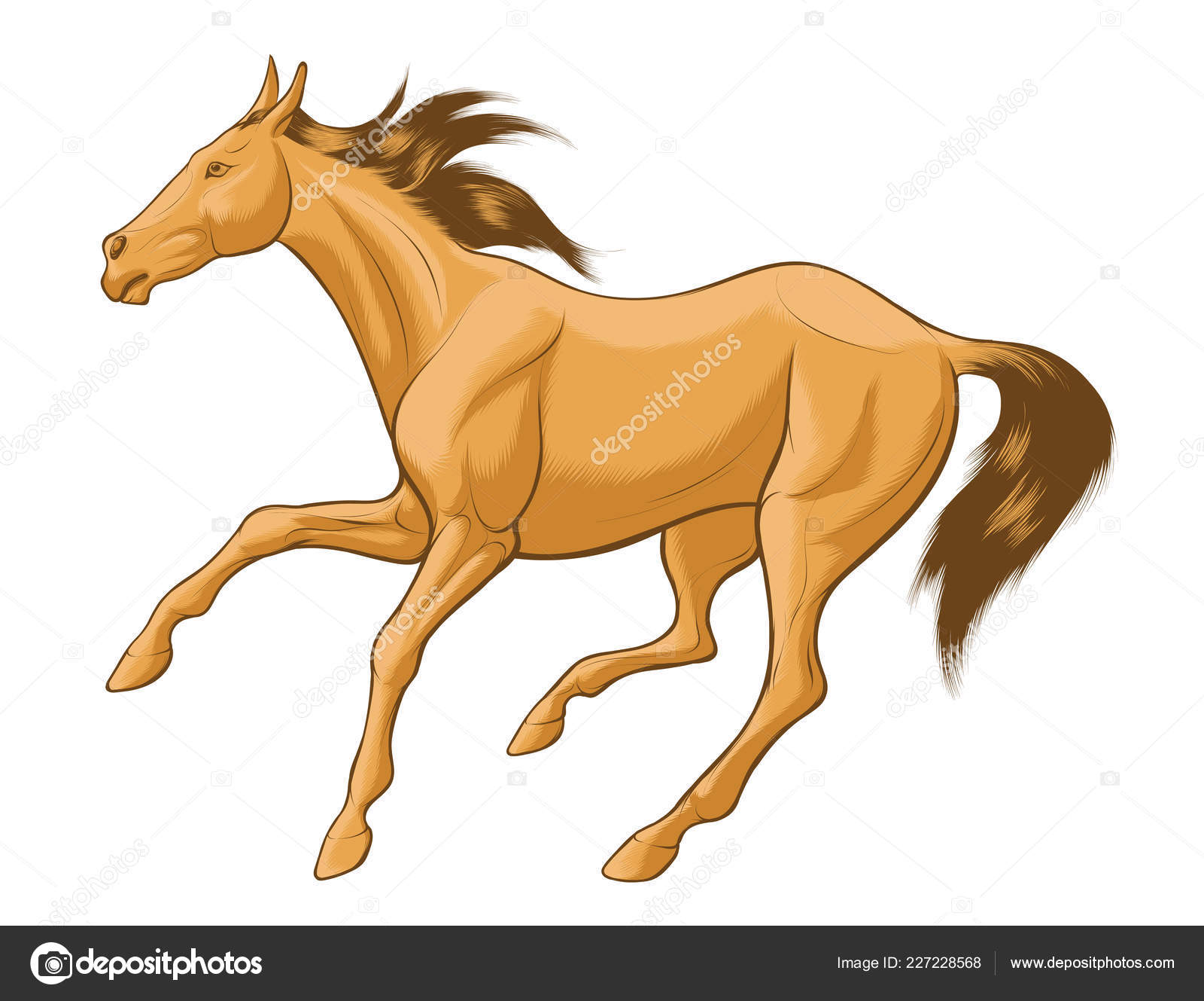 Galloping Clip Art