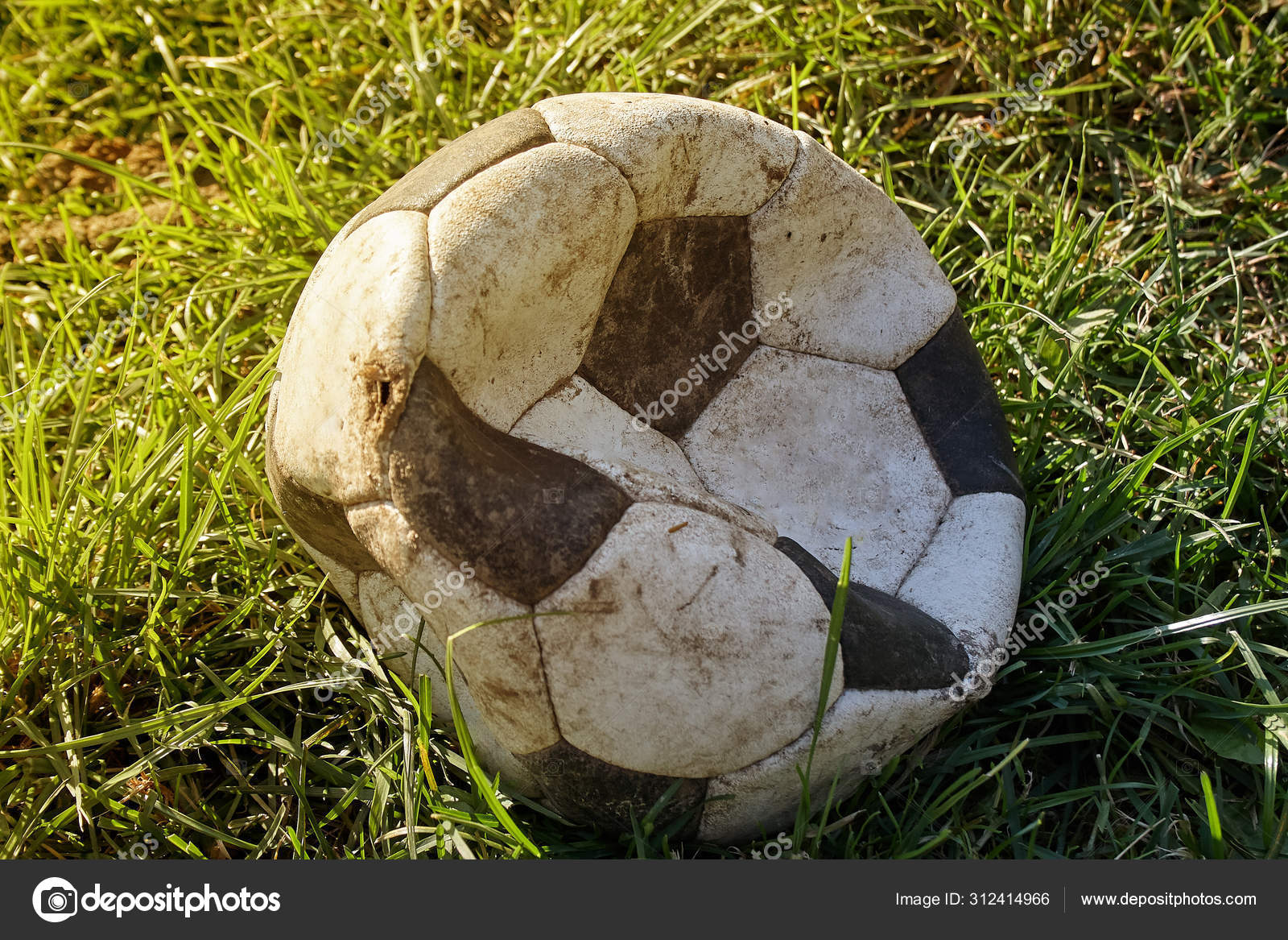 Real Soccer Ball On Grass