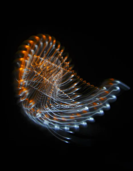 Parallel lines Images - Search Images on Everypixel