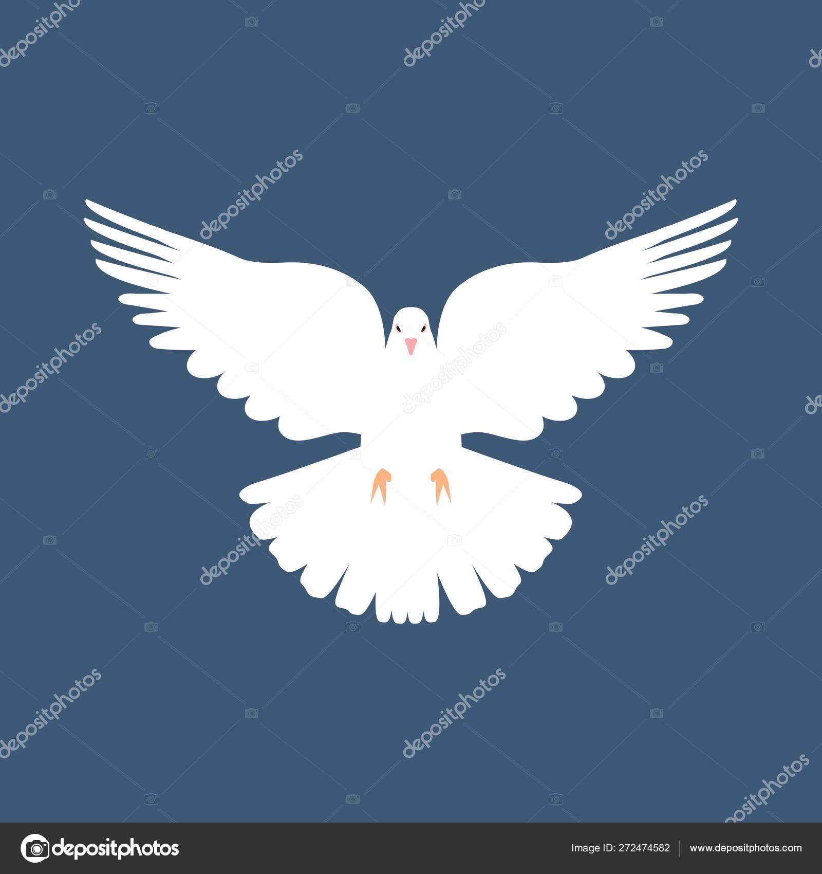 Purity Symbol Christianity