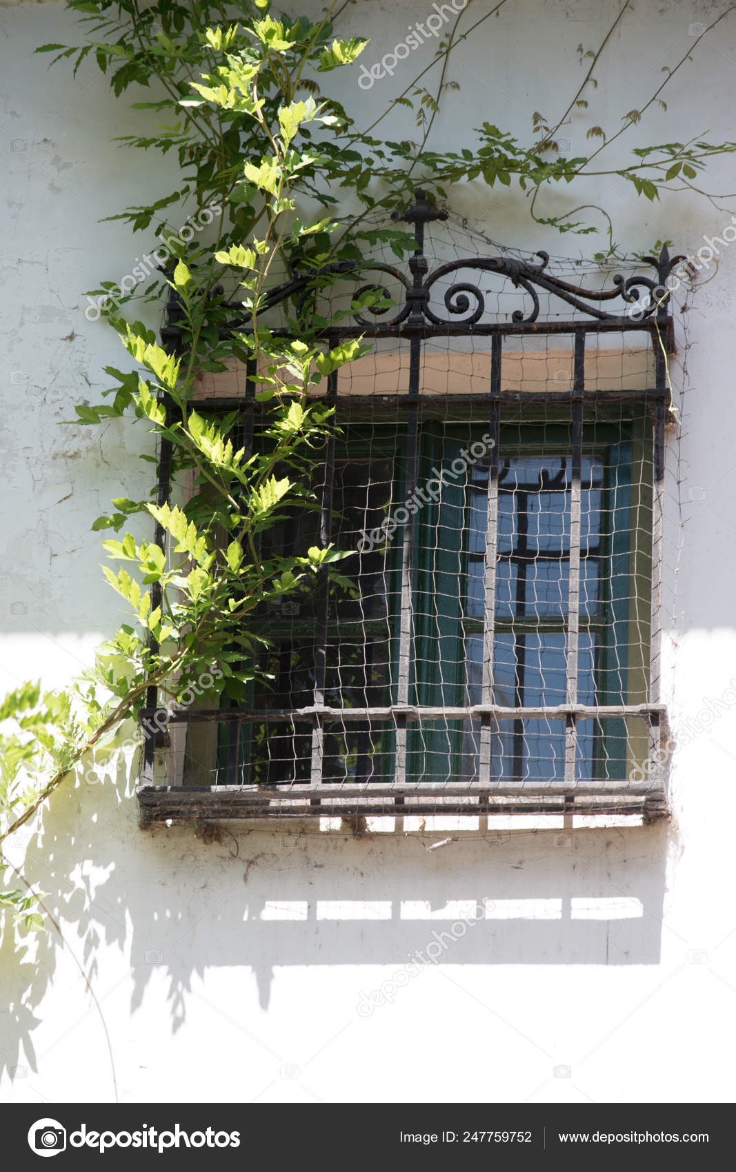 Old Window Iron Grille — Stock Photo © TC2412 #247759752