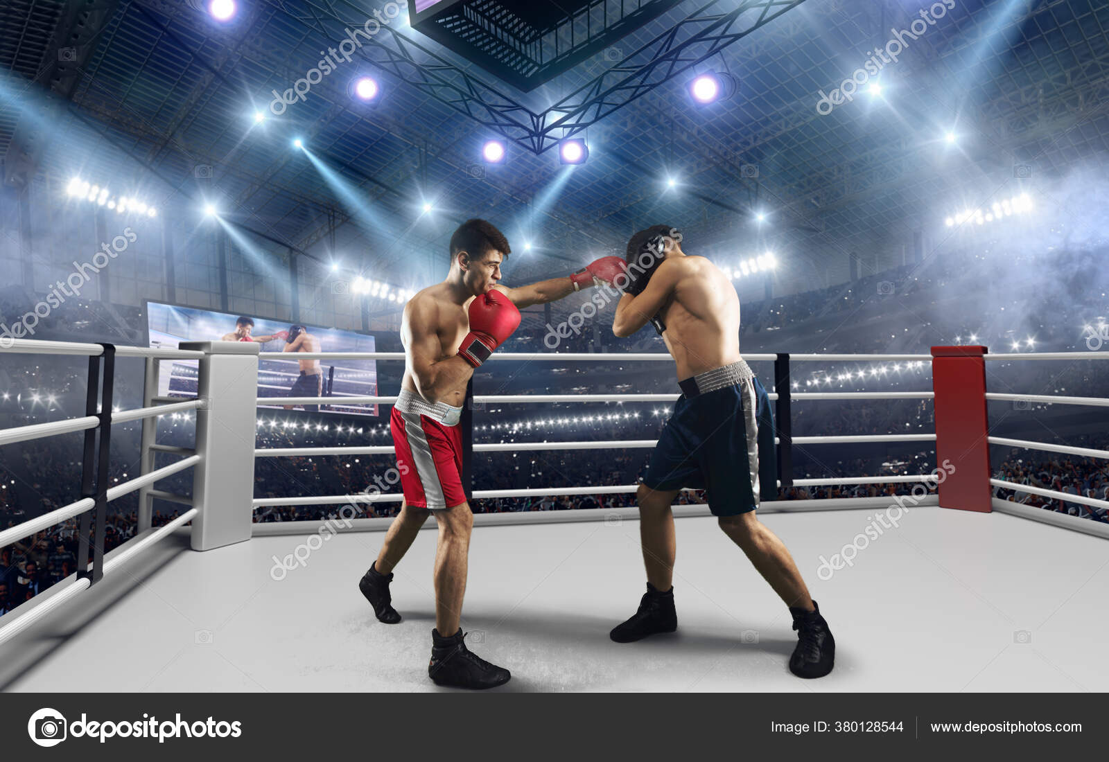 Professional Boxing Rings