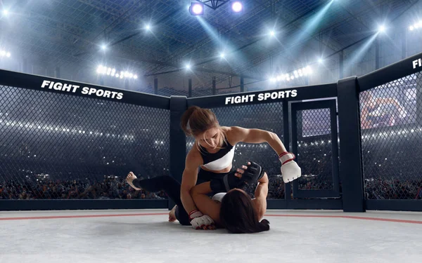 Mma ring Stock Photos, Royalty Free Mma ring Images | Depositphotos