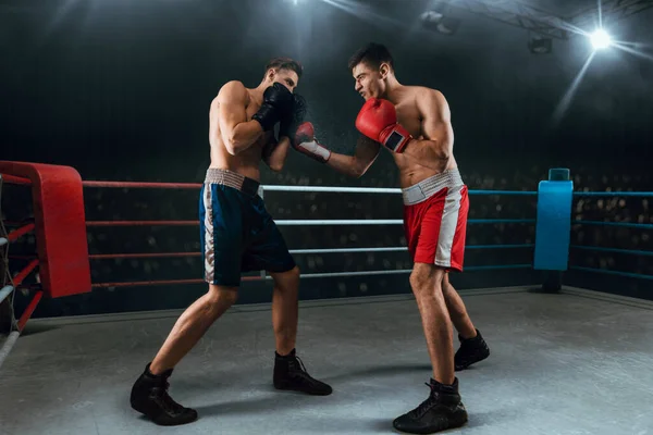 Men boxing Stock Photos, Royalty Free Men boxing Images | Depositphotos