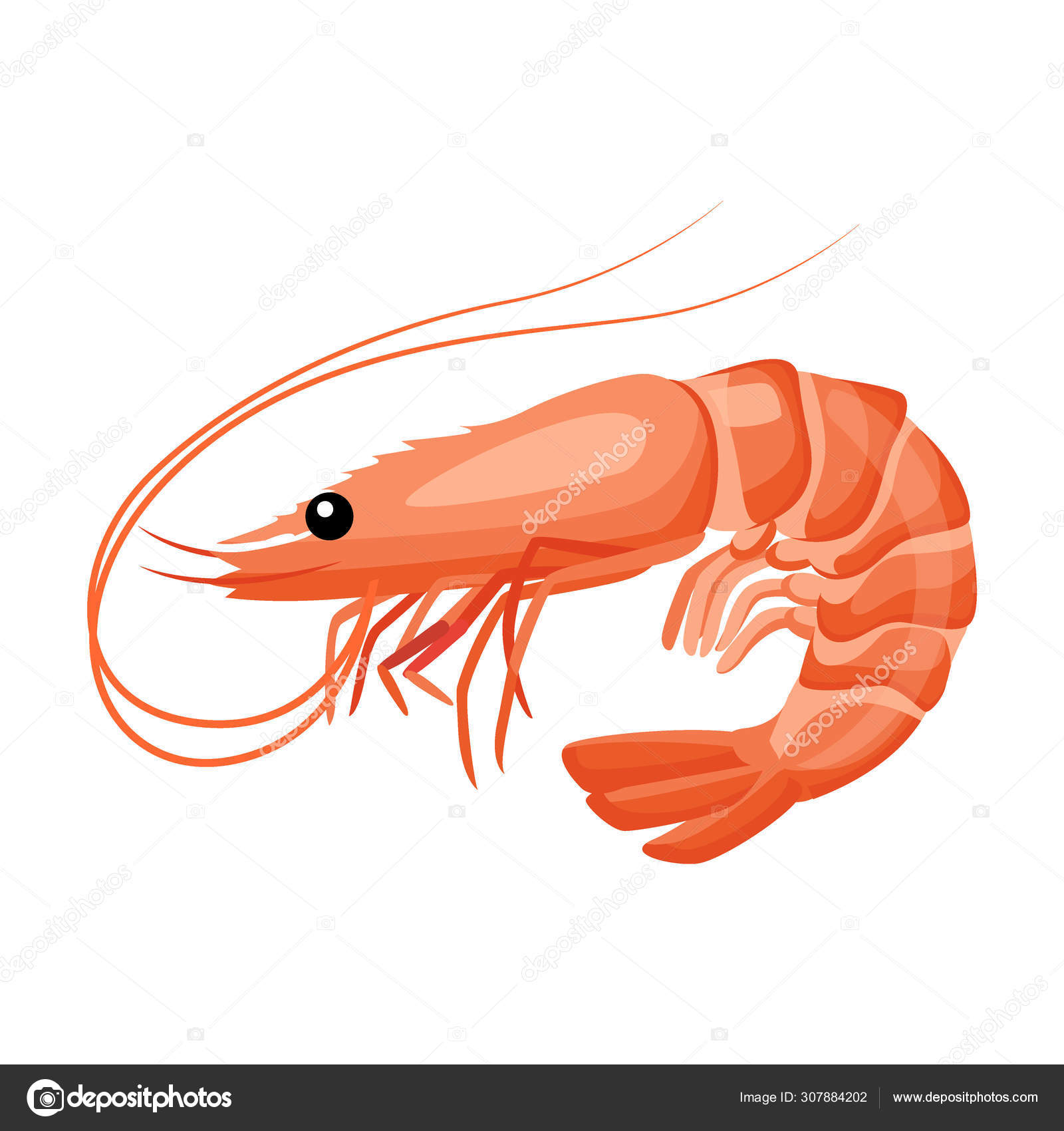 Shrimp Icon