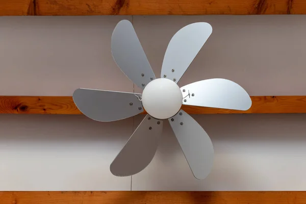 Fan shield Stock Photos, Royalty Free Fan shield Images | Depositphotos