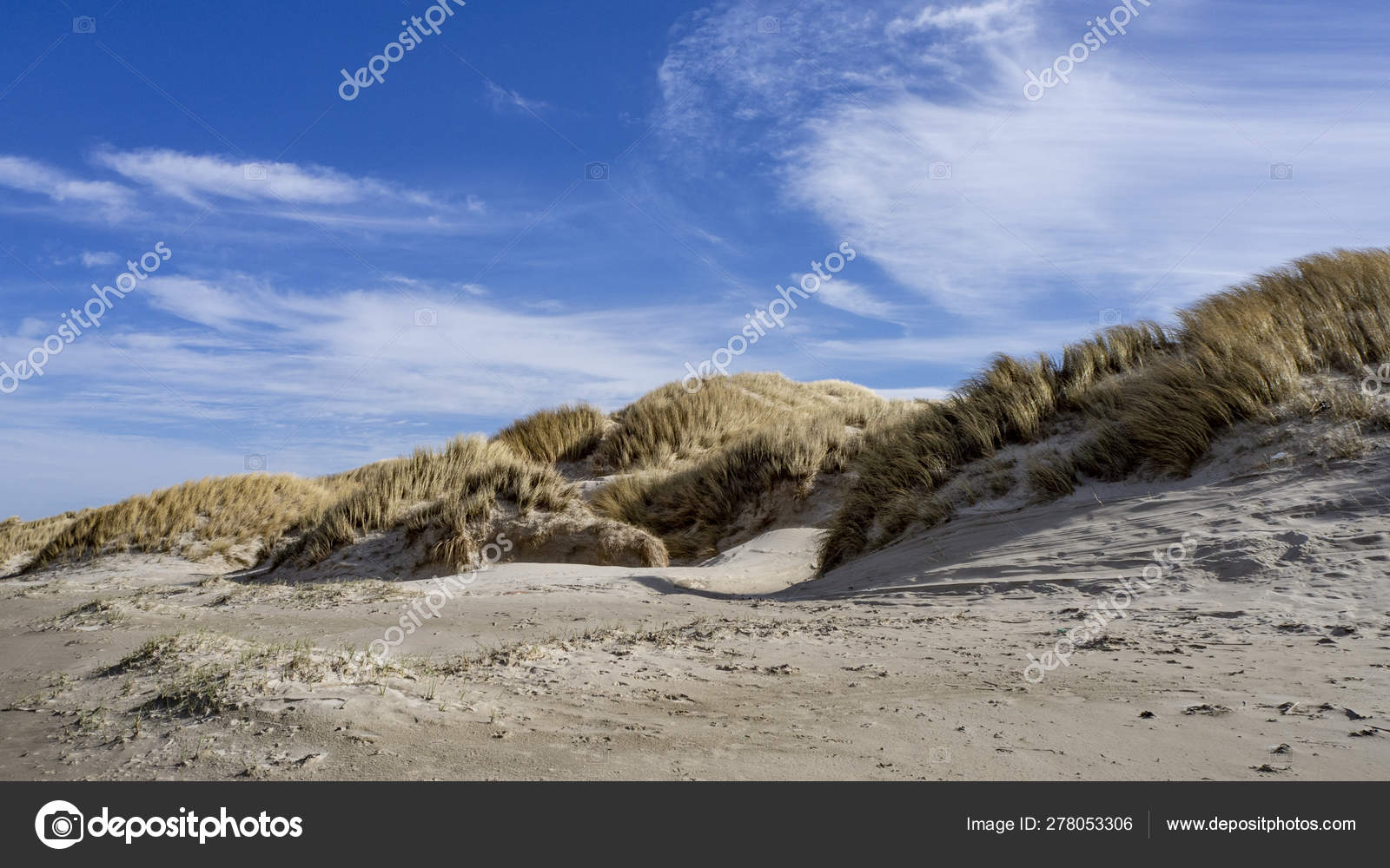Danish Coast and Beach Line in Gronhoj, near Lokken, North Denmark ...