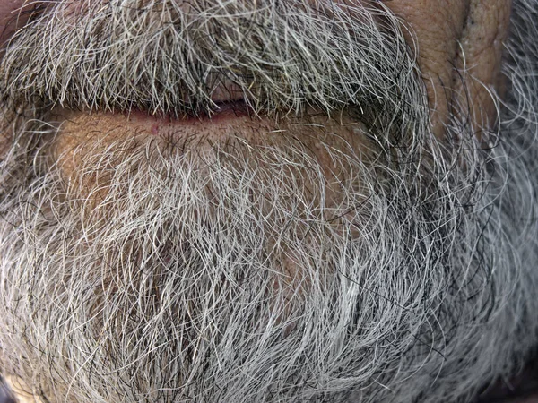 Barbe grise images libres de droit, photos de Barbe grise | Depositphotos