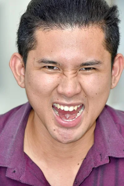 Male malay face Stock Photos, Royalty Free Male malay face Images ...