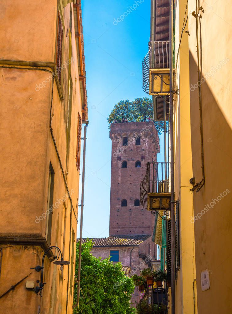 Torre Guinigi torre de ladrillo con robles en vista al techo desde la ...