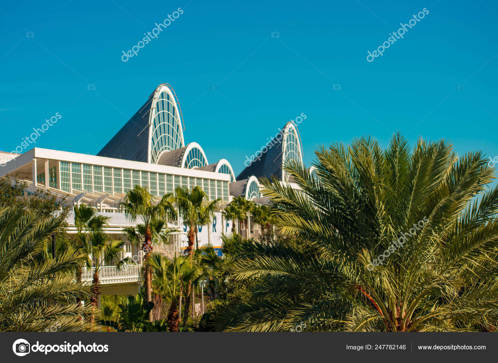 Orlando Florida January 2019 Top View Orlando Convention Center Palms ...