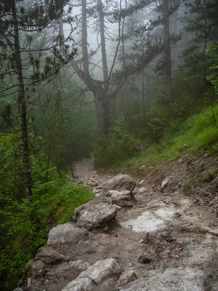 A fascinating and difficult walk while climbing Mount Olympus in Greece ...