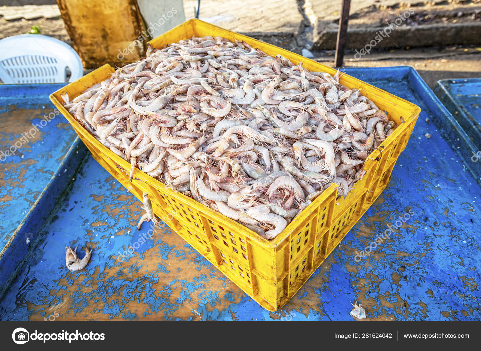 Large Yellow Plastic Box Full Fresh Shrimp Fish Market Bandar — Stock ...