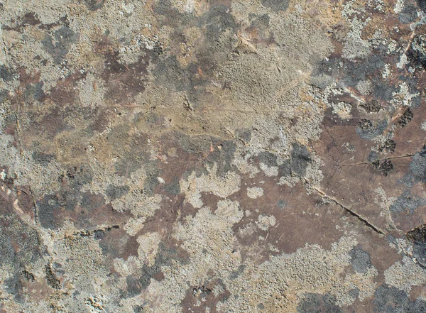 Conglomerate texture Stock Photos, Royalty Free Conglomerate texture ...