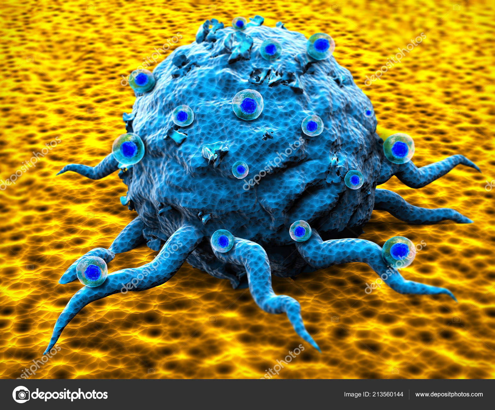 Cancer Cell Growth Culture Electron Microscope — Stock Photo © Giovanni ...
