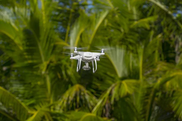 Plantation drone Stock Photos, Royalty Free Plantation drone Images ...