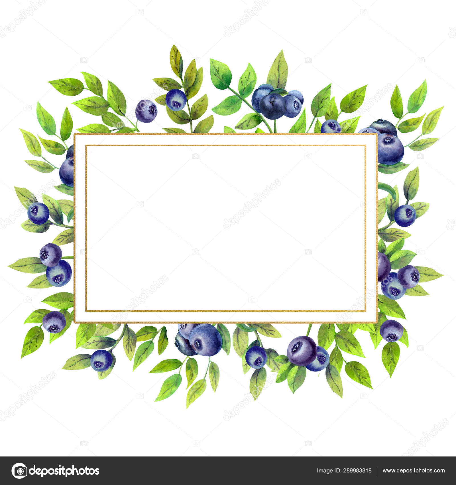 Golden geometric frame with ripe blueberries on white isolated ...