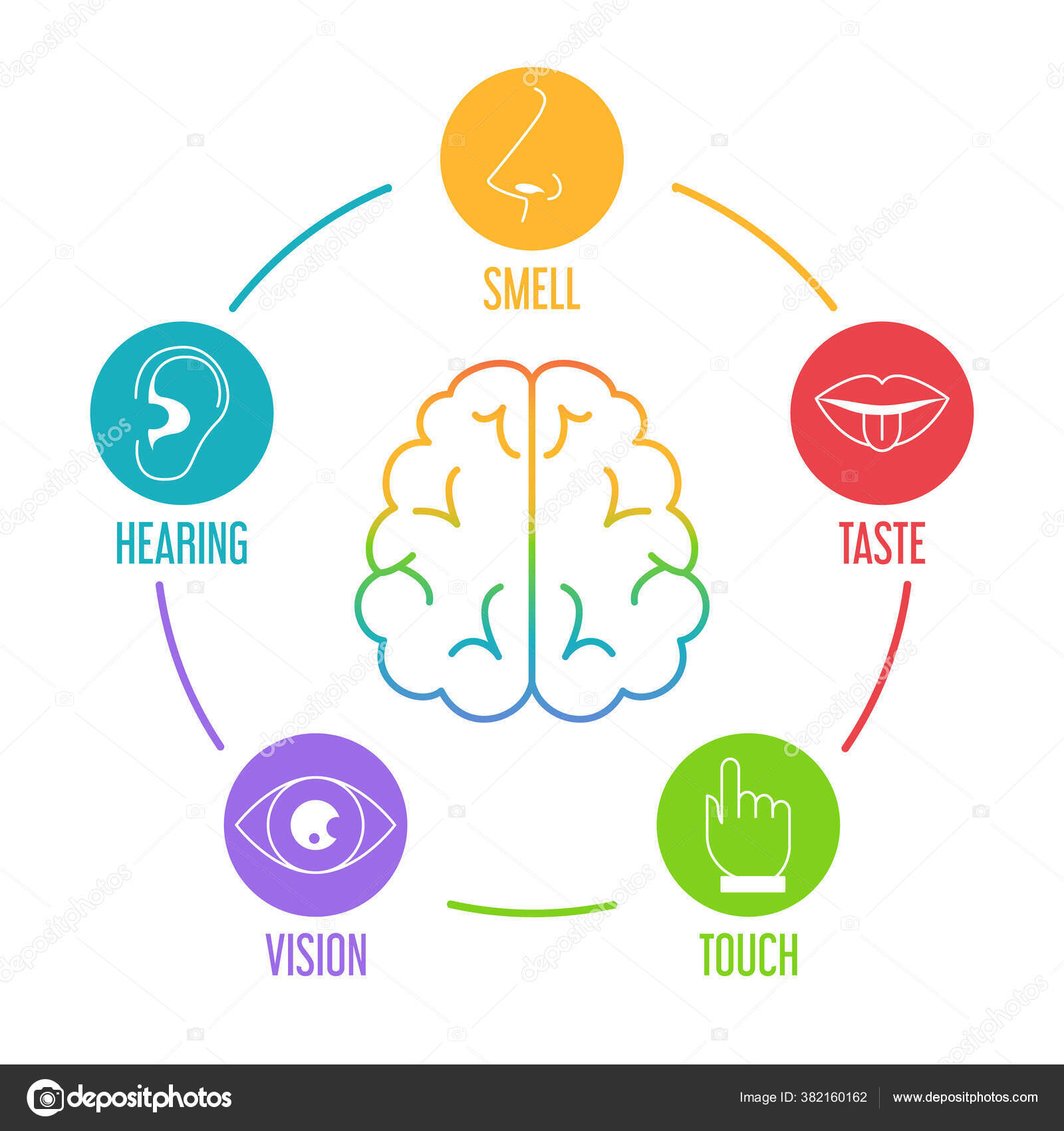 Cinco Sentidos Humanos Icono Conjunto Ilustración Aislada Vectorial ...