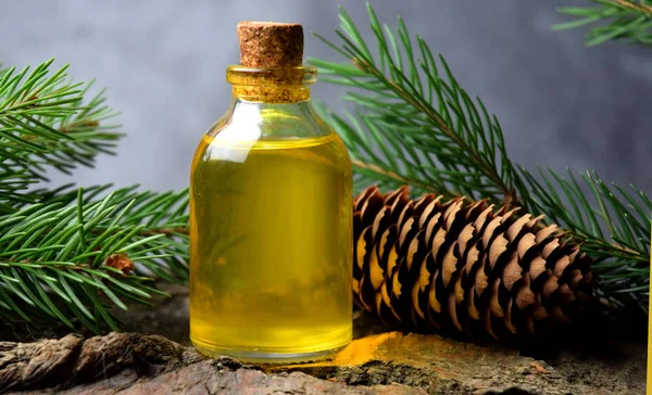 Spruce natural oil bio organic - Stock Image - Everypixel