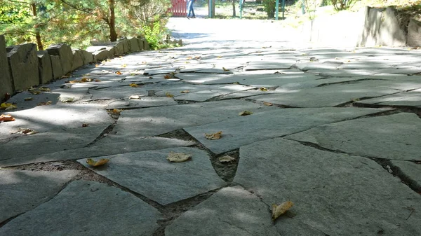 Stone path forest Stock Photos, Royalty Free Stone path forest Images ...