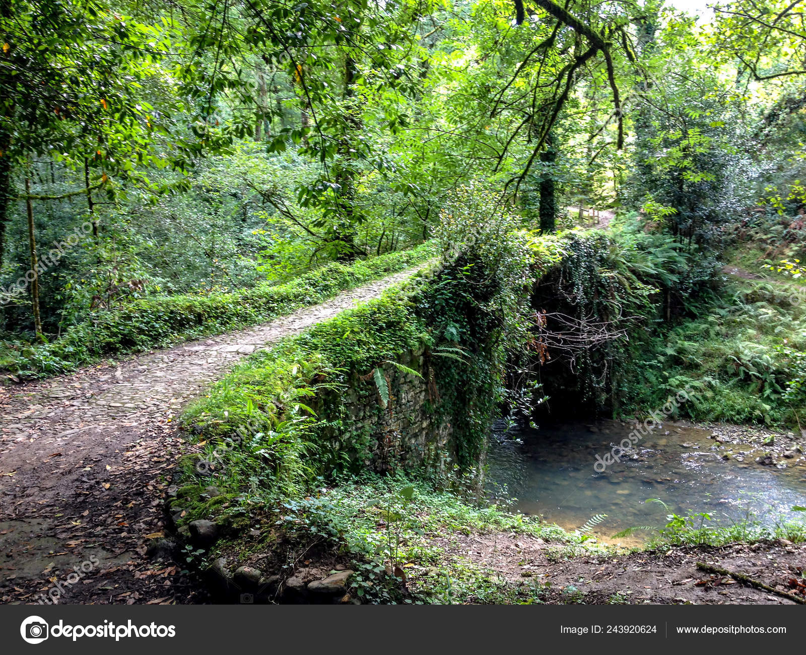 Mystical Medieval Bridge Covered Nature Middle Forest Basque Country ...
