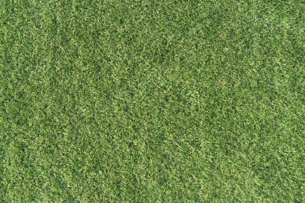 Grass top view Stock Photos, Royalty Free Grass top view Images ...