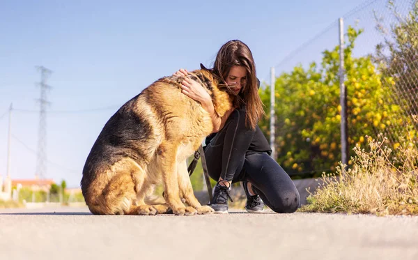 Dogs are protectors Stock Photos, Royalty Free Dogs are protectors ...