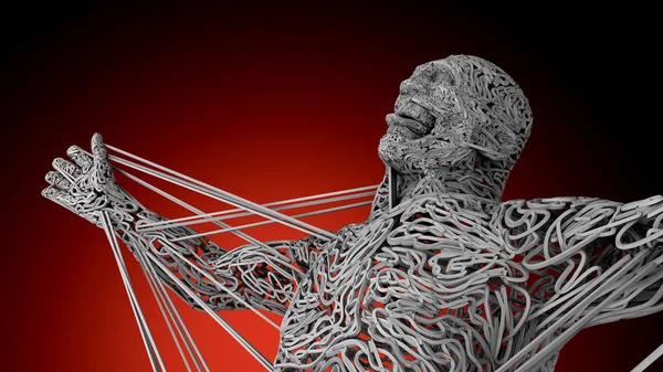 Human framework Stock Photos, Royalty Free Human framework Images ...