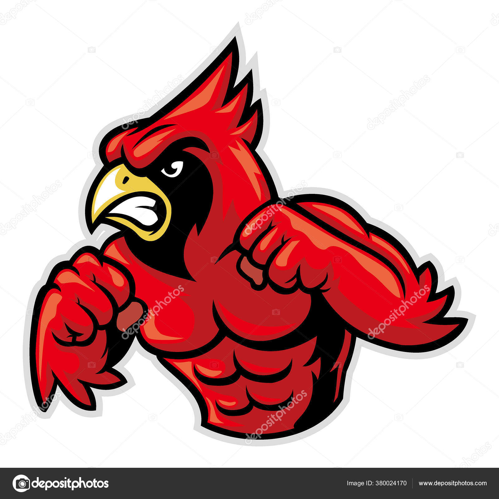 Cardinal Bird Mascot Show His Muscle Stock Vector Image by ©bazzier ...