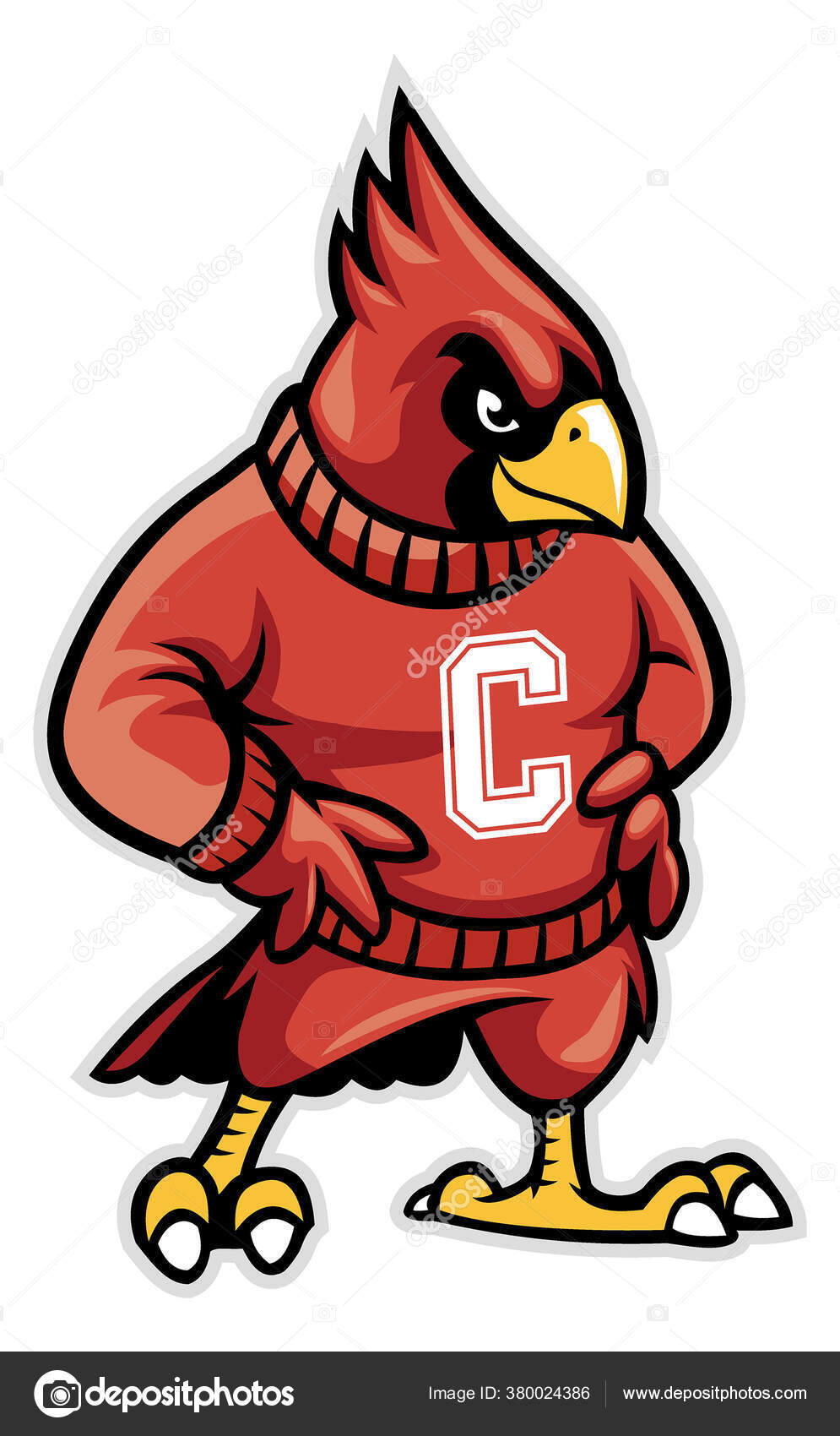 Bird Mascot Vector