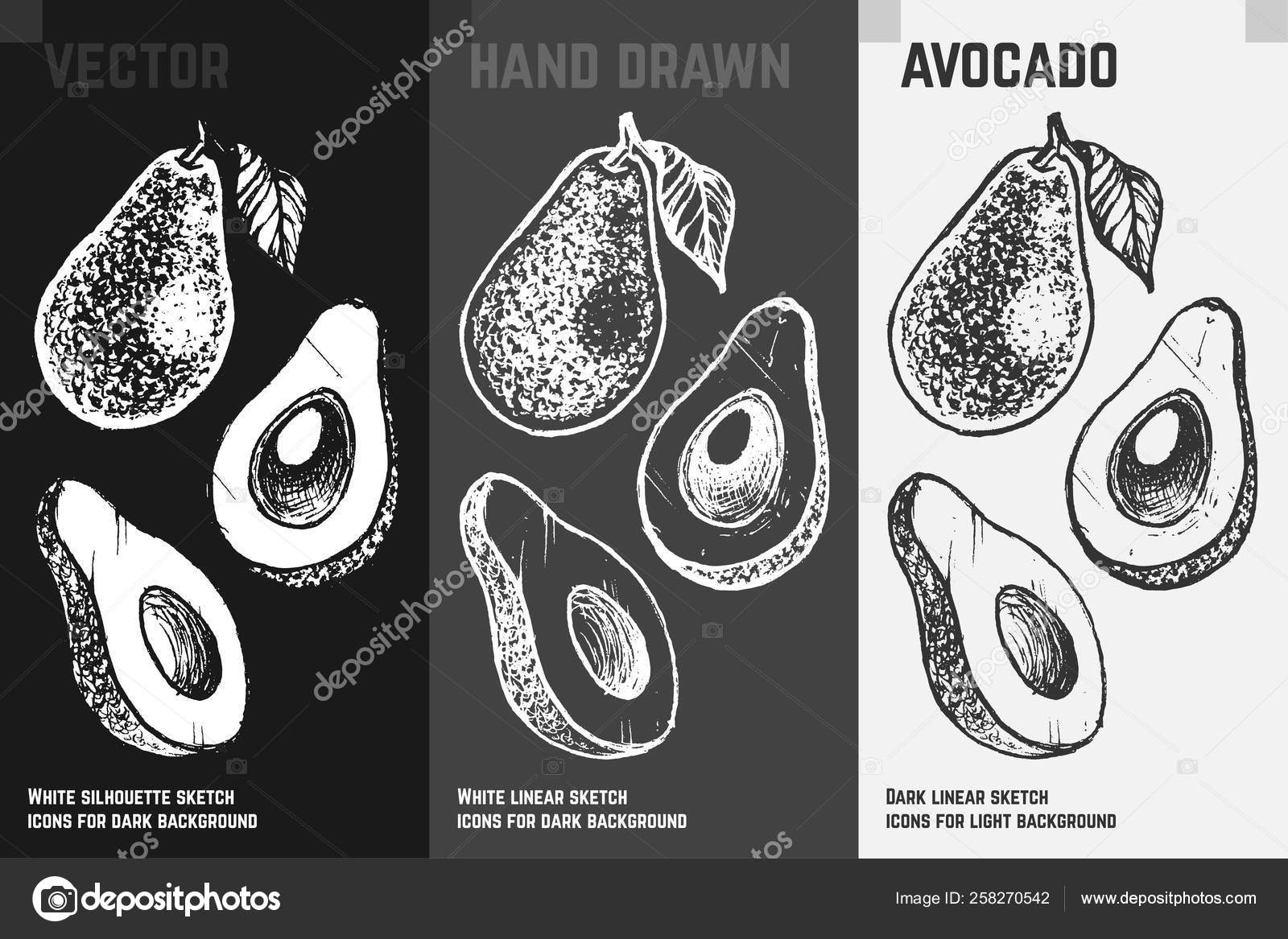 Hand drawn avocado. Fruits sketch vector set Stock Vector by ©Margo ...