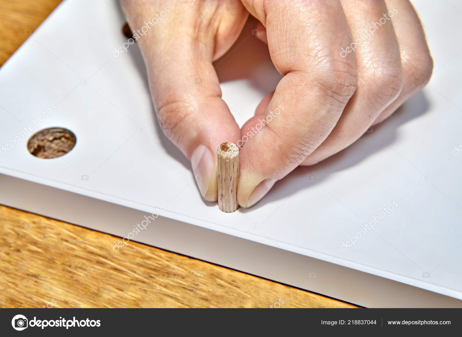 Hand Inserts Fluted Wood Dowel Pins Hole Wood Chipboard Furniture Stock ...