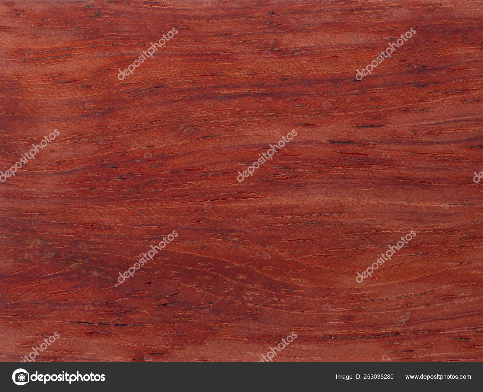 Padouk wood texture, padauk wood pattern Stock Photo by ©JanMara 253035280