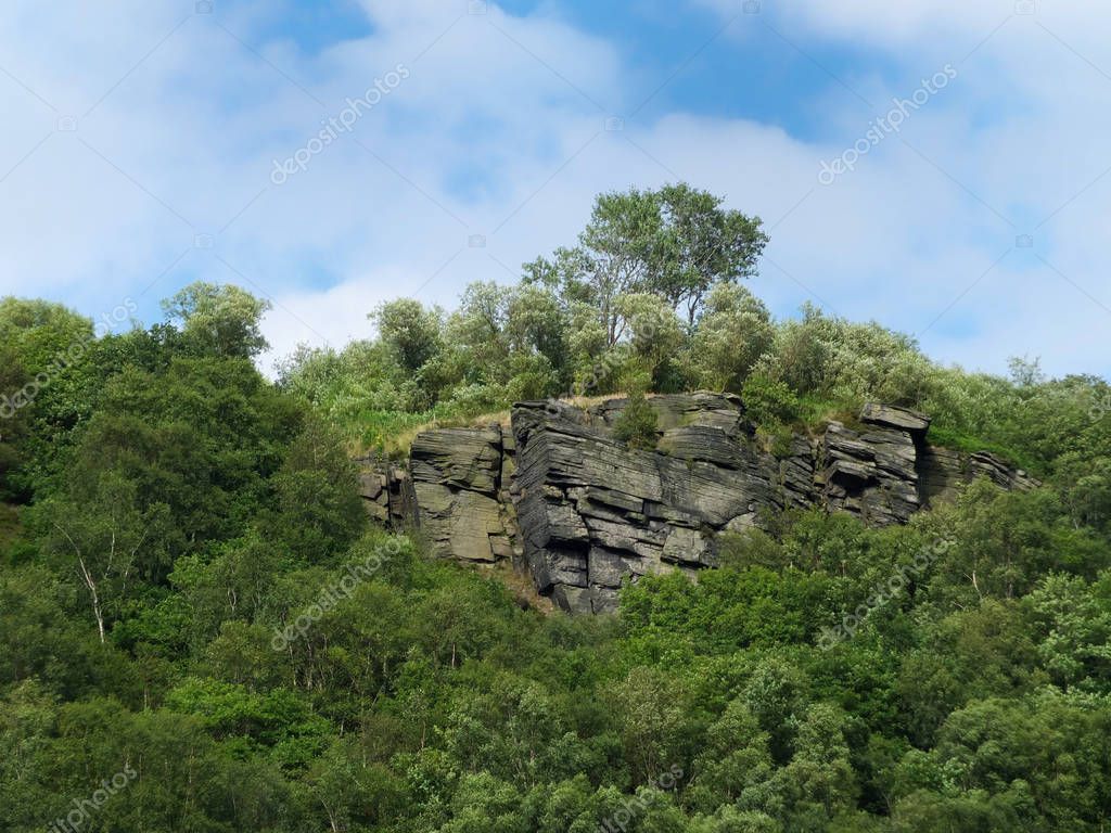 afloramiento arenisca rodeada de bosque en el paisaje peninos 2024