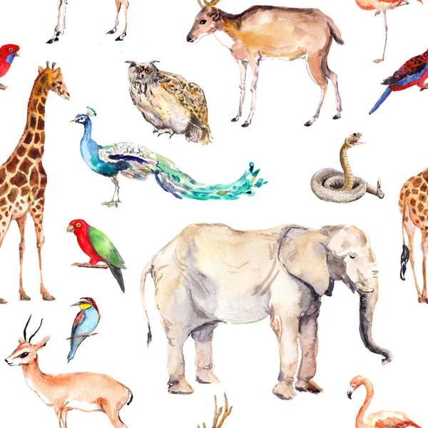 Wild animal collage Stock Photos, Royalty Free Wild animal collage ...