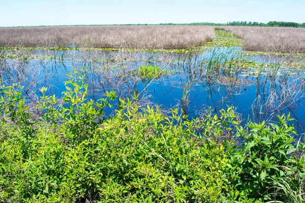 Wetland highway Stock Photos, Royalty Free Wetland highway Images ...