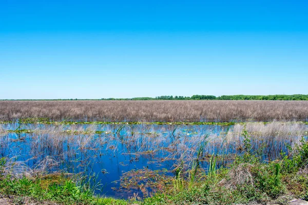 Coastal wetlands Stock Photos, Royalty Free Coastal wetlands Images ...
