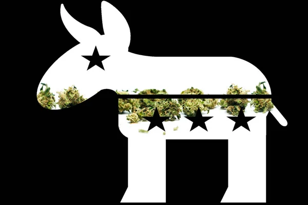 Marijuana animal Stock Photos, Royalty Free Marijuana animal Images ...