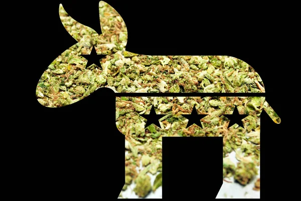 ป้ายสนามหญ้า Stock Photos, Royalty Free ป้ายสนามหญ้า Images | Depositphotos