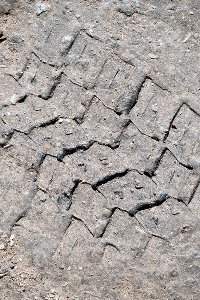 Neogene period Stock Photos, Royalty Free Neogene period Images ...